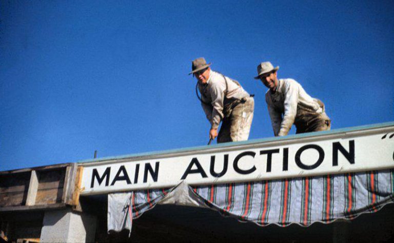 Online Auctions | Real Estate Auctions | Auctioneer | Boise